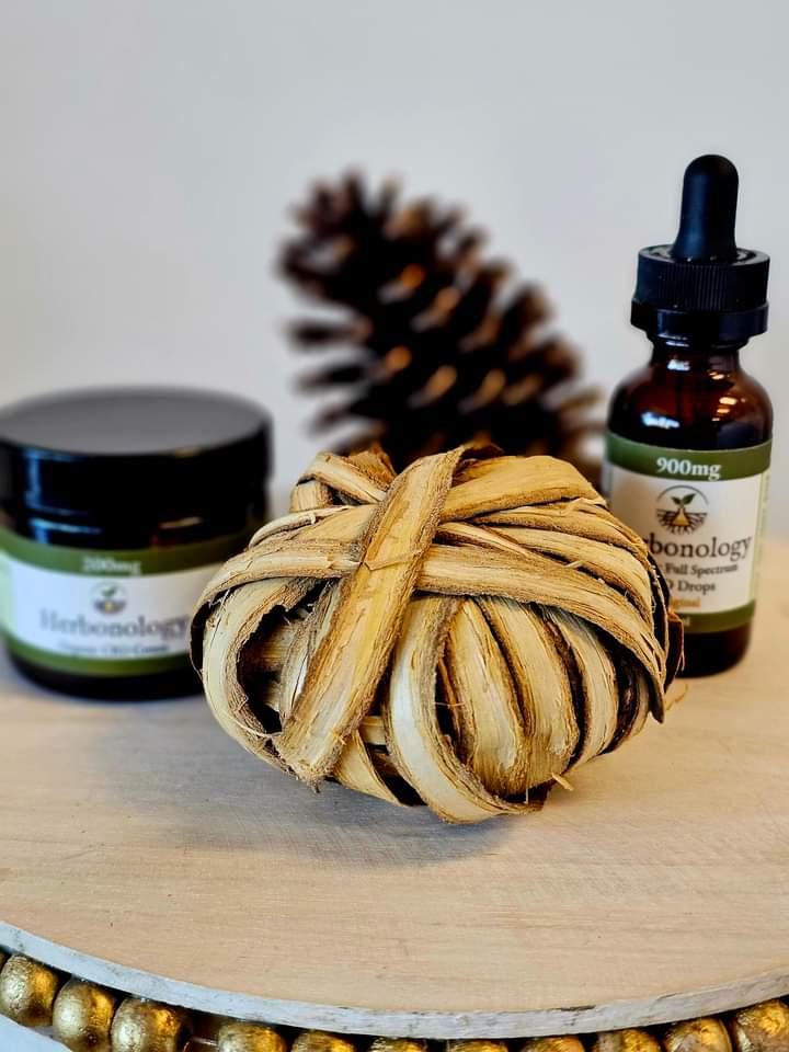 Discover the Benefits of Katrafay Bark for Wellness – Herbonology